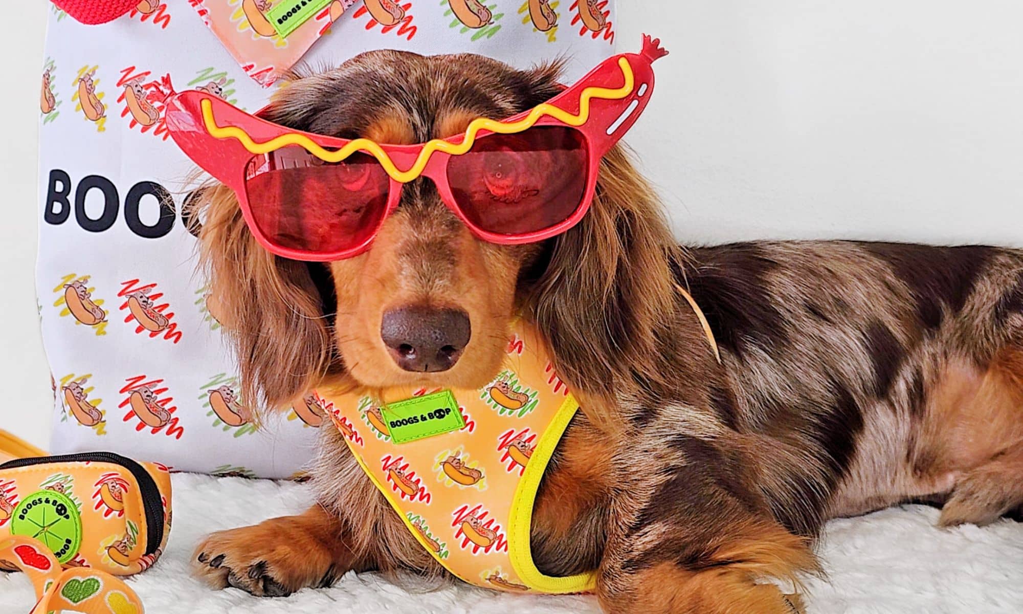 Boogs & Boop | Affiliate Register