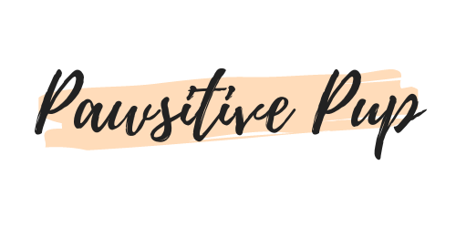 Pawsitive Pup | Login